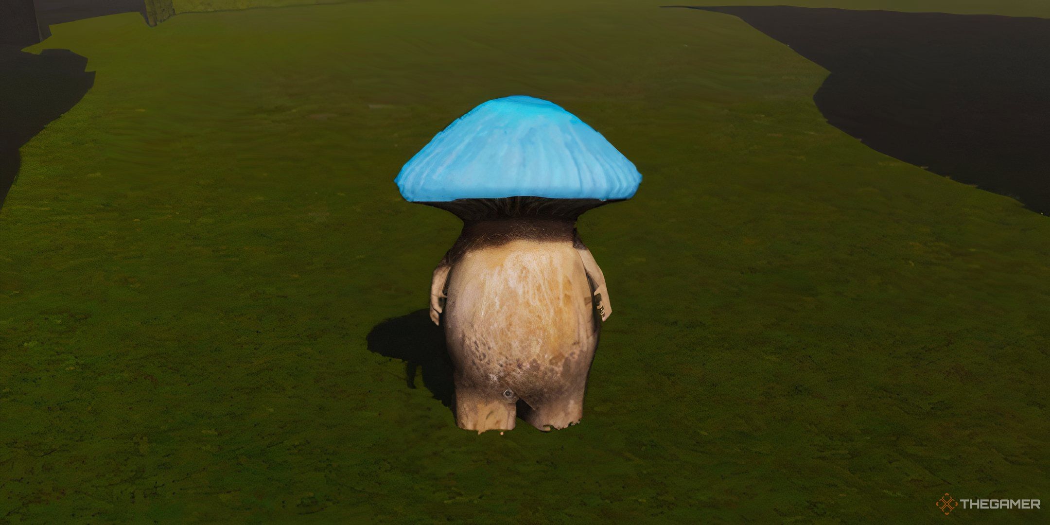 Mage Arena: Гайд по выживанию и доминированию в PvP-схватках